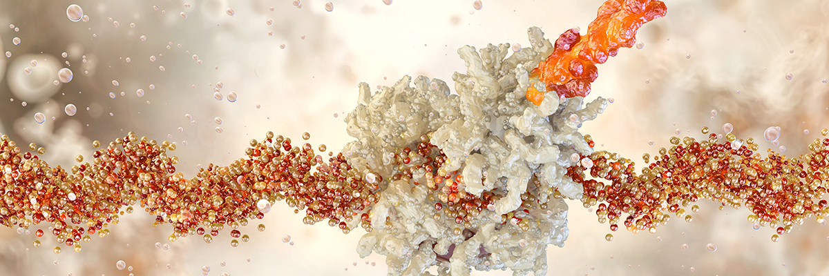 4th Annual mRNA Process Development & CMC Summit - LineaRx