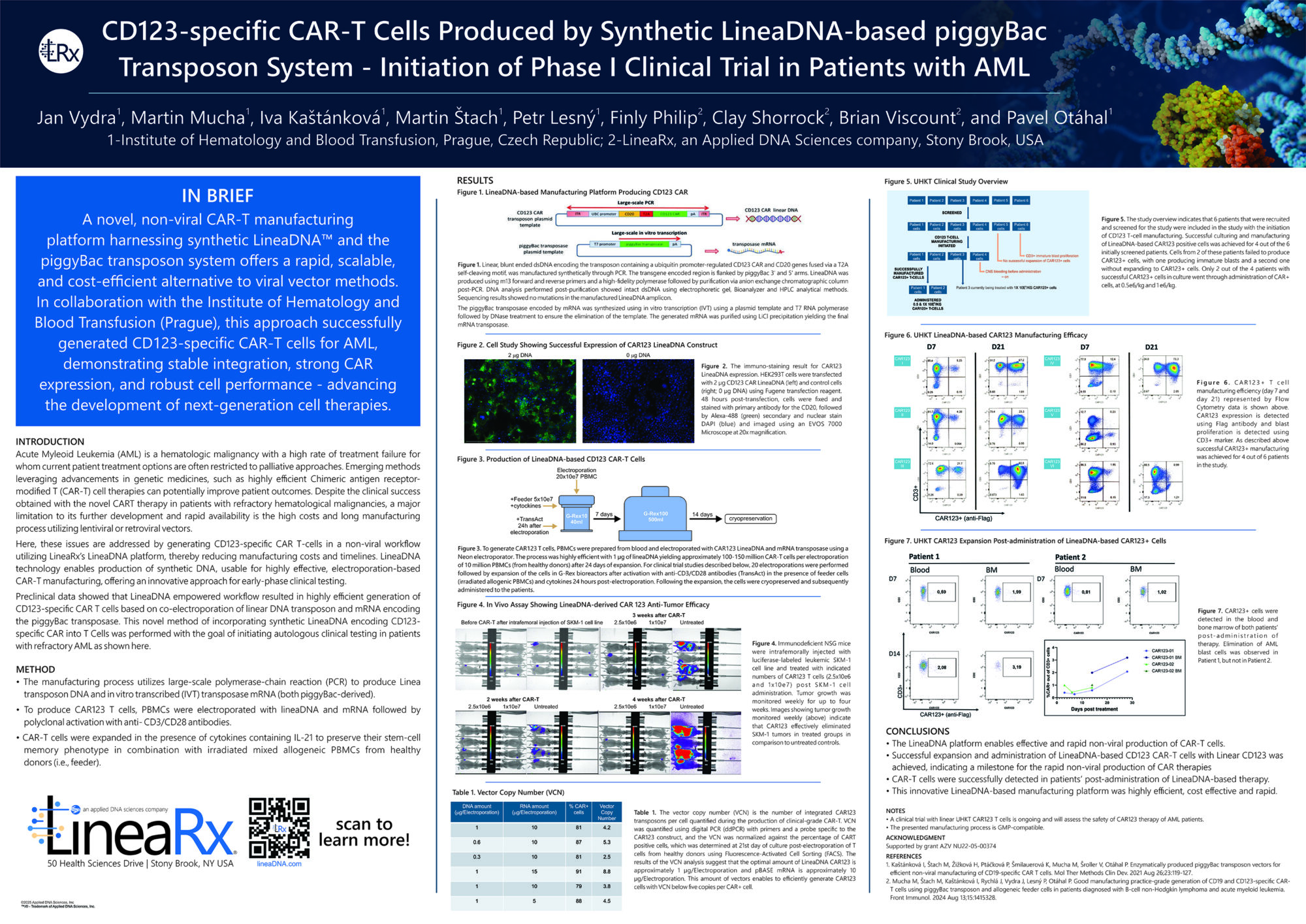 CAR-TCR Summit 2025 - LineaRx